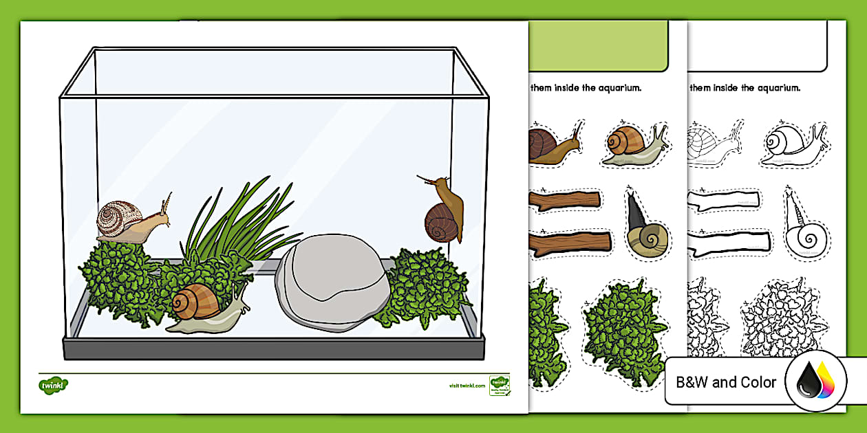 Early Childhood Build a Snail Habitat Cut and Paste Worksheet