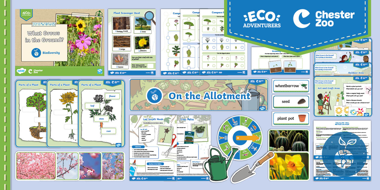 FREE! - EYFS Biodiversity Plants - What Grows in the Ground?