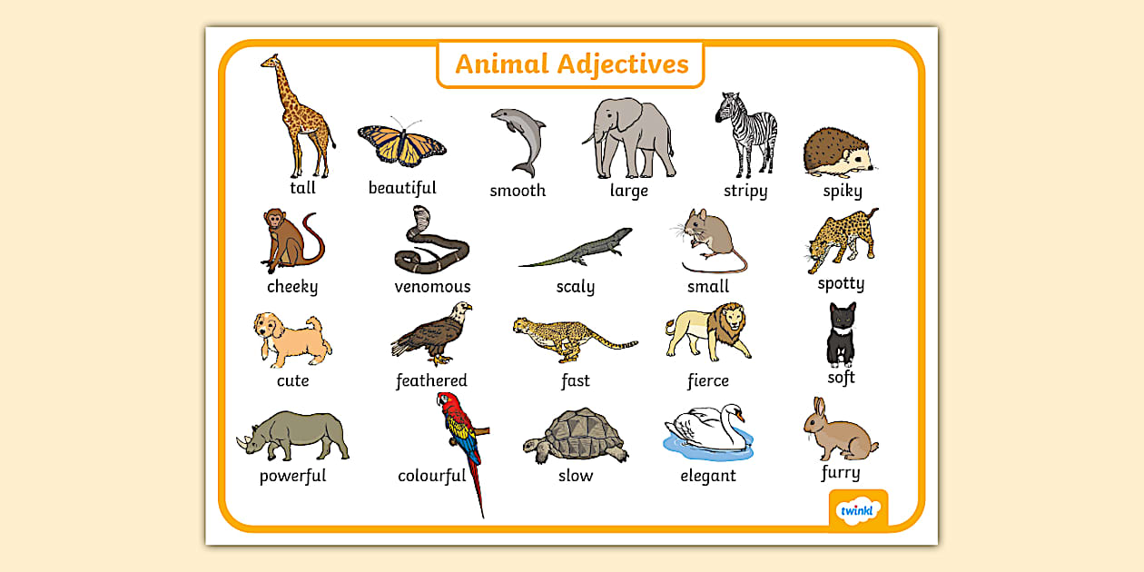 Animal Adjectives Word Mat (teacher made) - Twinkl