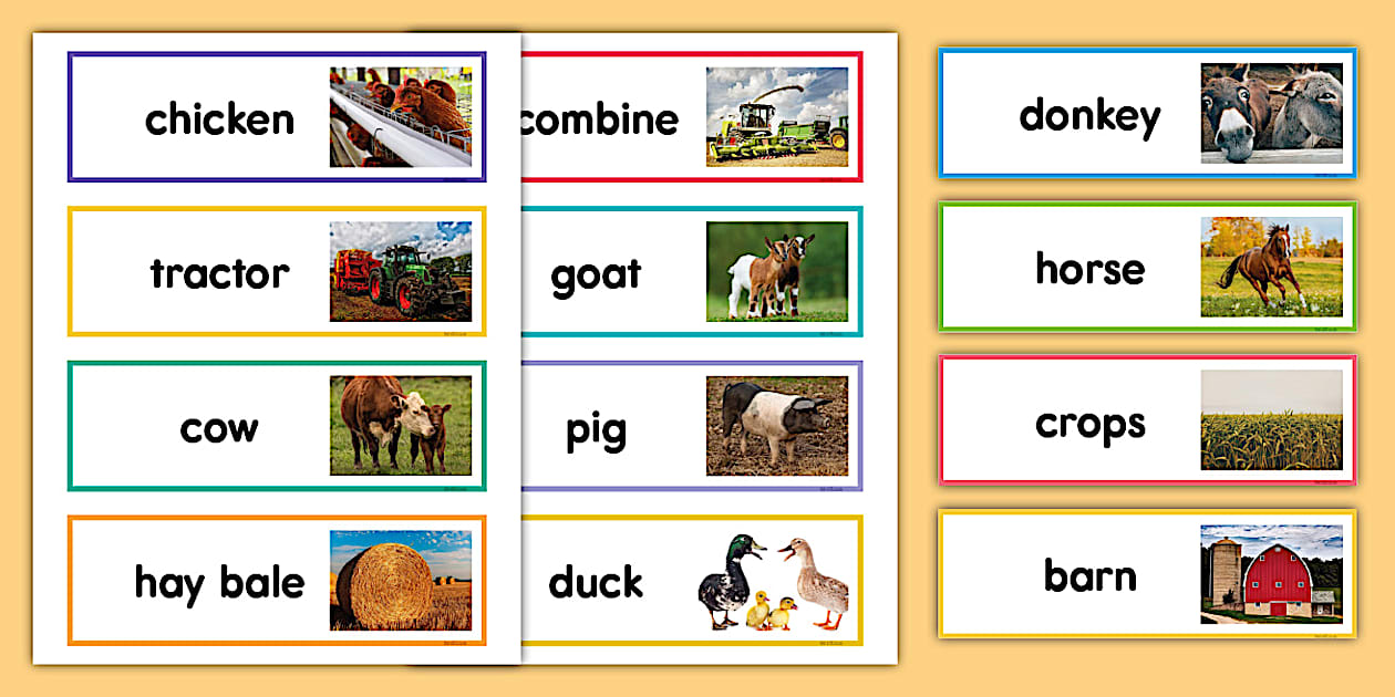 Colorful Farm Vocabulary Word Cards for Kids | Twinkl USA