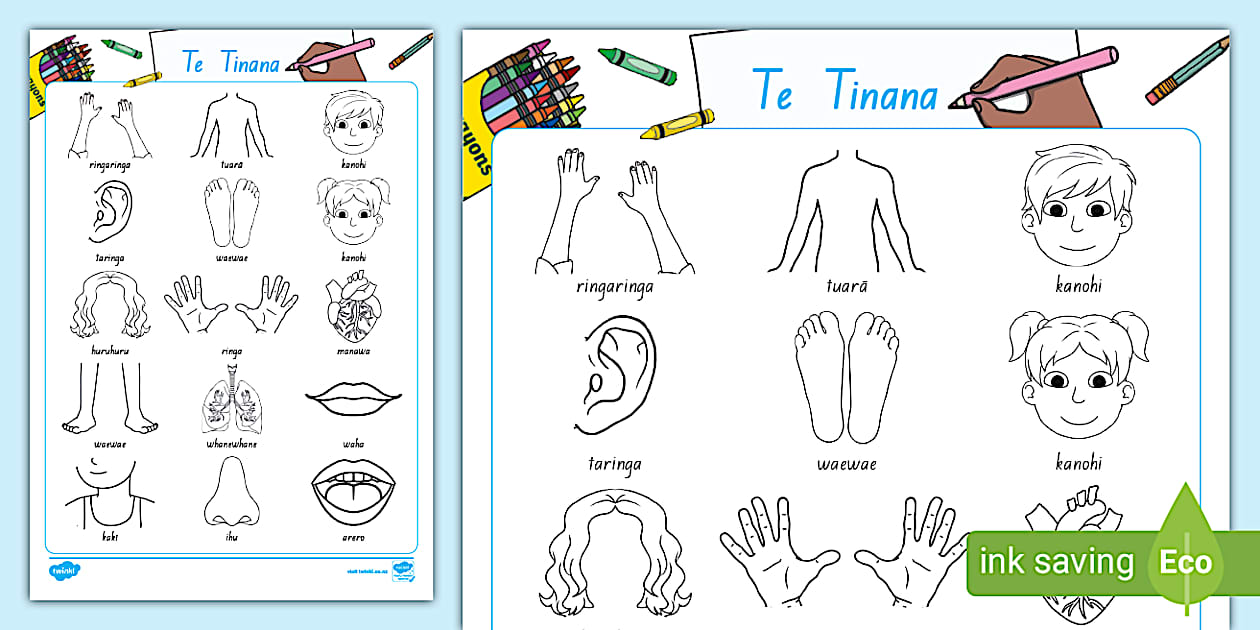 My Body Dictionary Colouring Sheet In Te Reo Māori - Twinkl