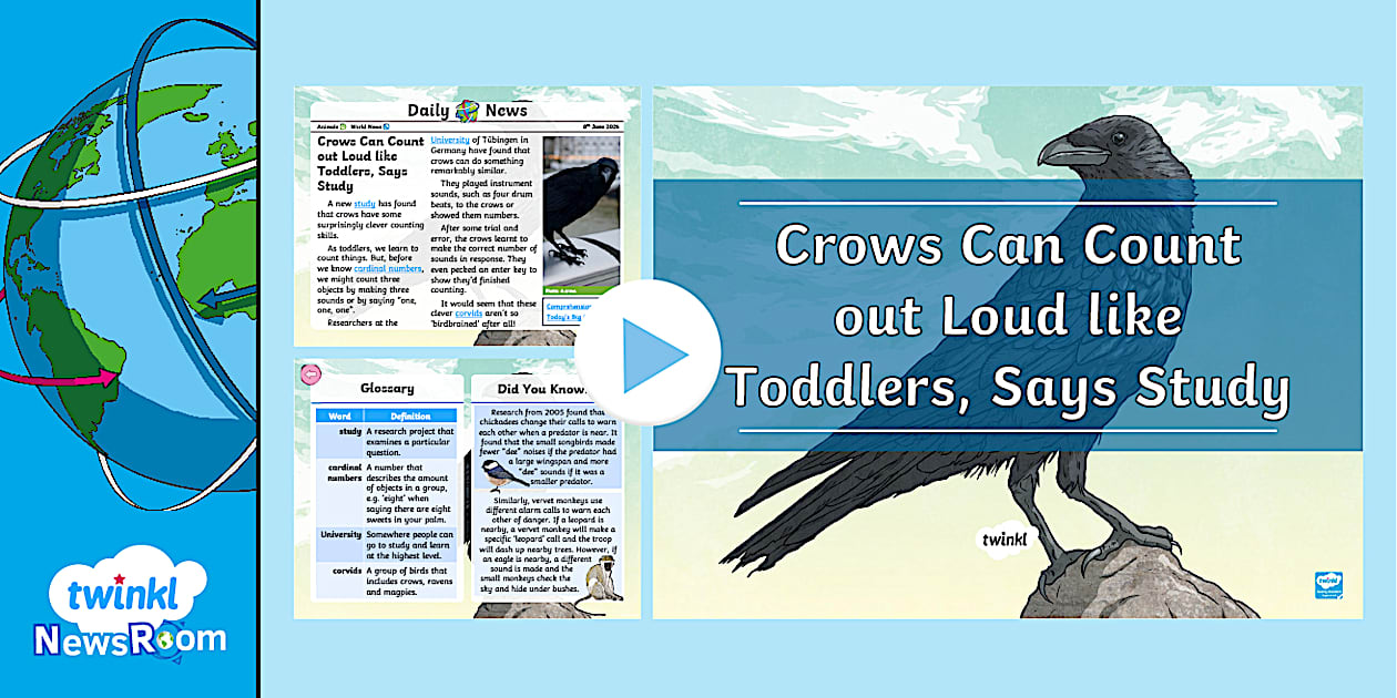 Crows Can Count out Loud like Toddlers, Says Study | Twinkl Resources