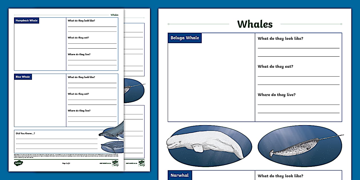 Whales Non-Chronological Report Template (Teacher-Made)