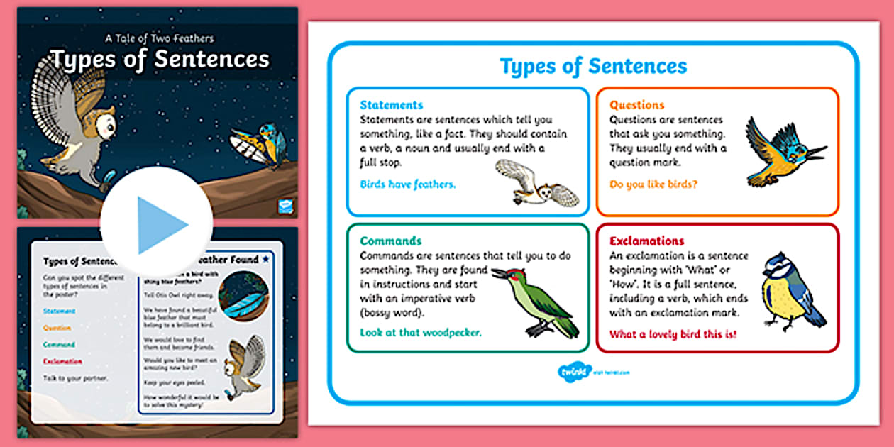A Tale of Two Feathers: Types of Sentences English Lesson Pack Year 2