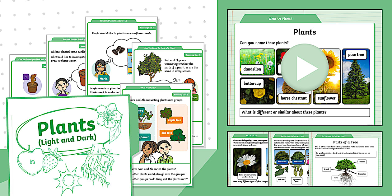 Step into Science: Y2: Spring: Block 1: Plants (Light and Dark): Steps 1 to 5
