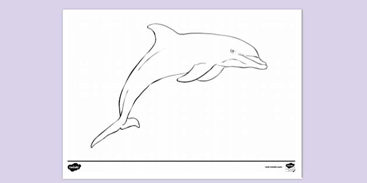 Dolphin Colouring Page (öğretmen yaptı) - Twinkl