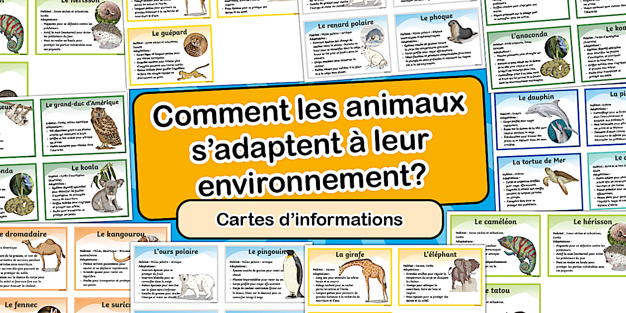 Cartes d'informations : Comment les animaux s'adaptent...