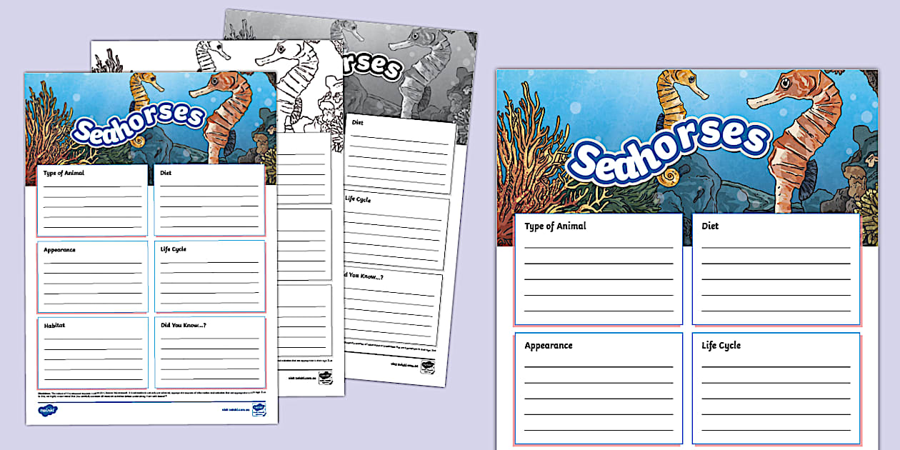Seahorse Fact File Template (teacher made) - Twinkl