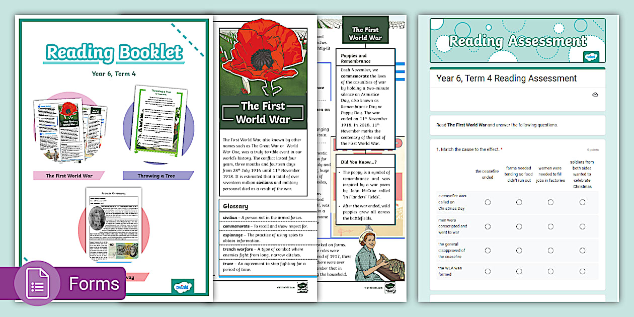 Year 6 Term 4 Reading Assessment (l'enseignant a fait)