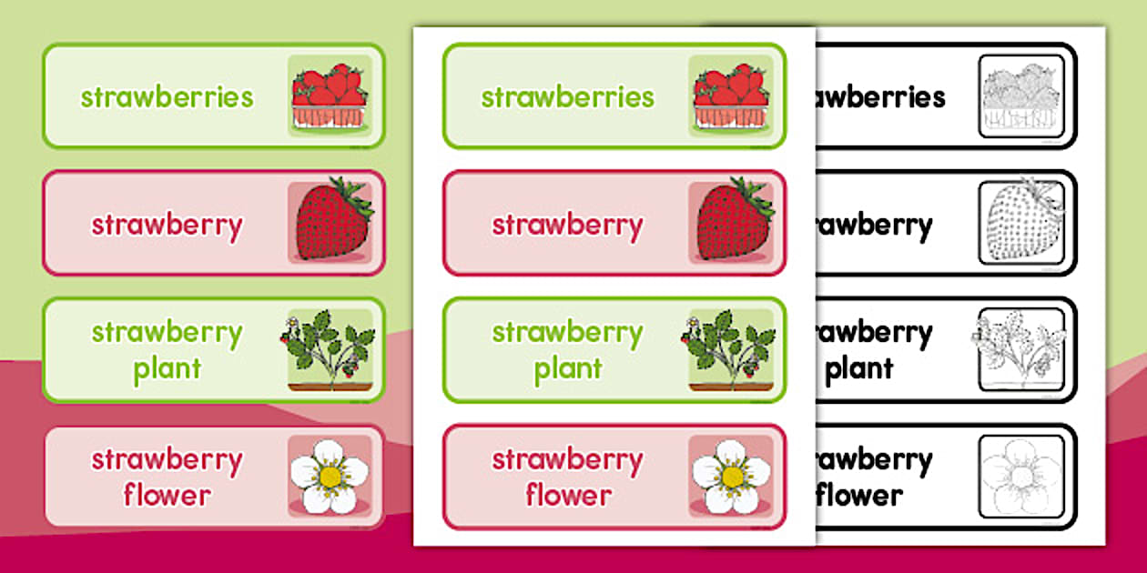 Strawberry Farm Stand Dramatic Play Word Cards - Twinkl
