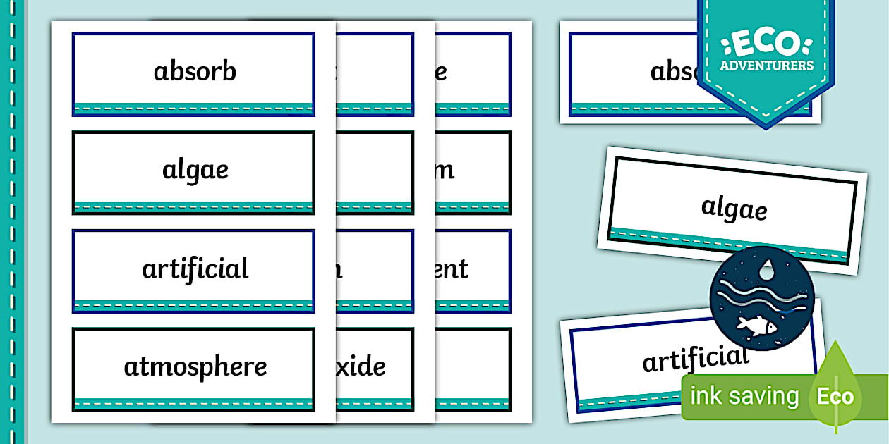 Year 3 Water & Life Below Water Vocabulary Cards