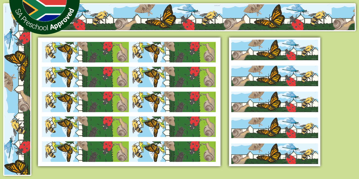 Insect-Themed Display Borders (teacher made) - Twinkl