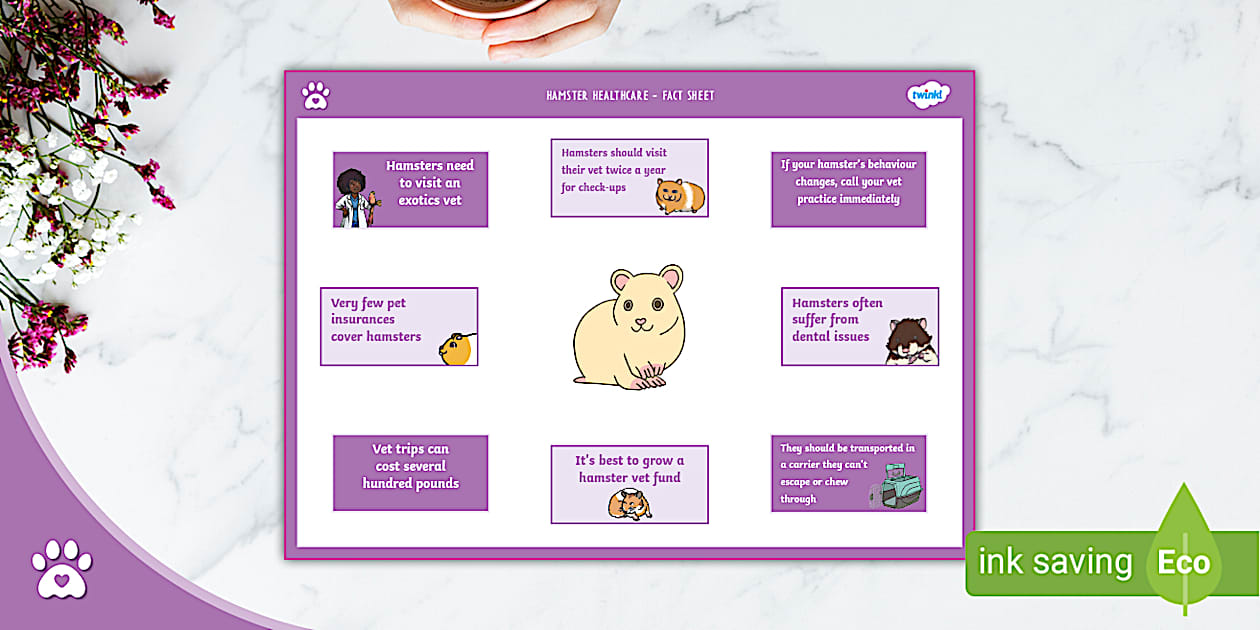 Hamster Healthcare - Fact Sheet - Hamster Care - Twinkl Pets