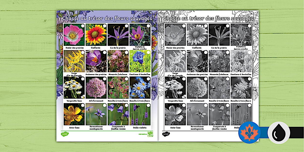 Canadian Prairies Summer Wildflower Scavenger Hunt French