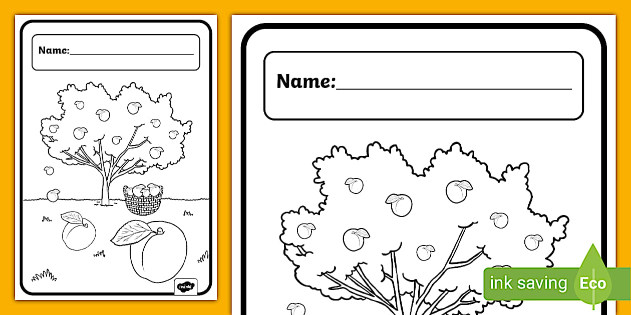 Apricot Colouring Book Cover (teacher made) - Twinkl