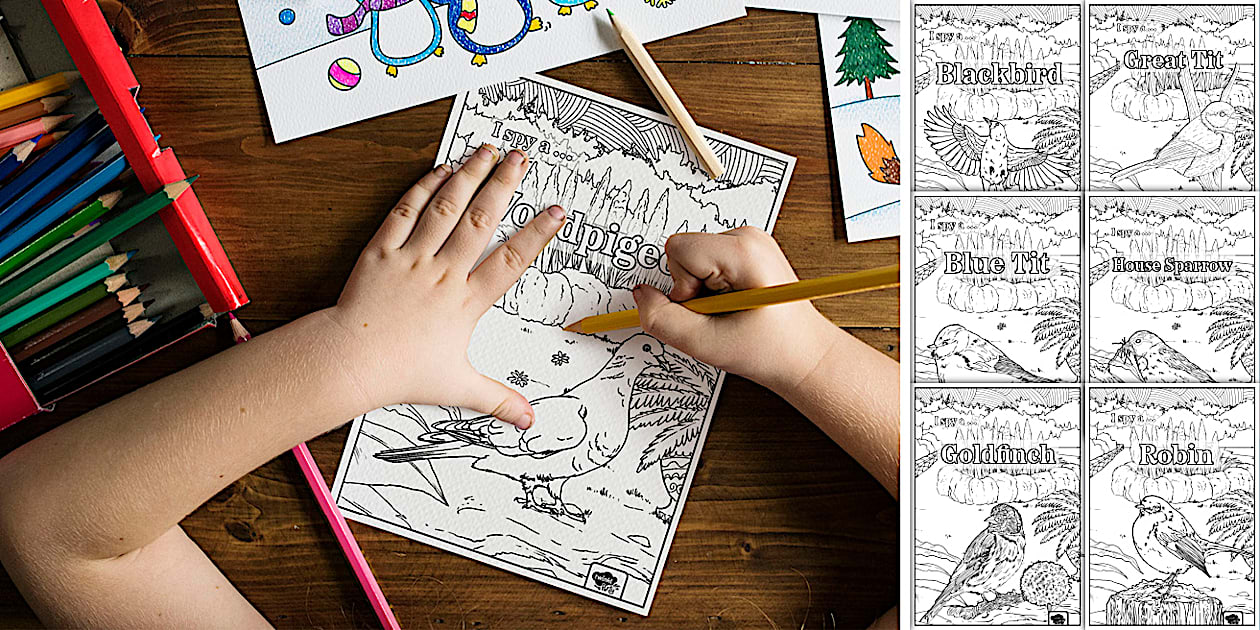 British Garden Birds Colouring Sheets | Twinkl Party