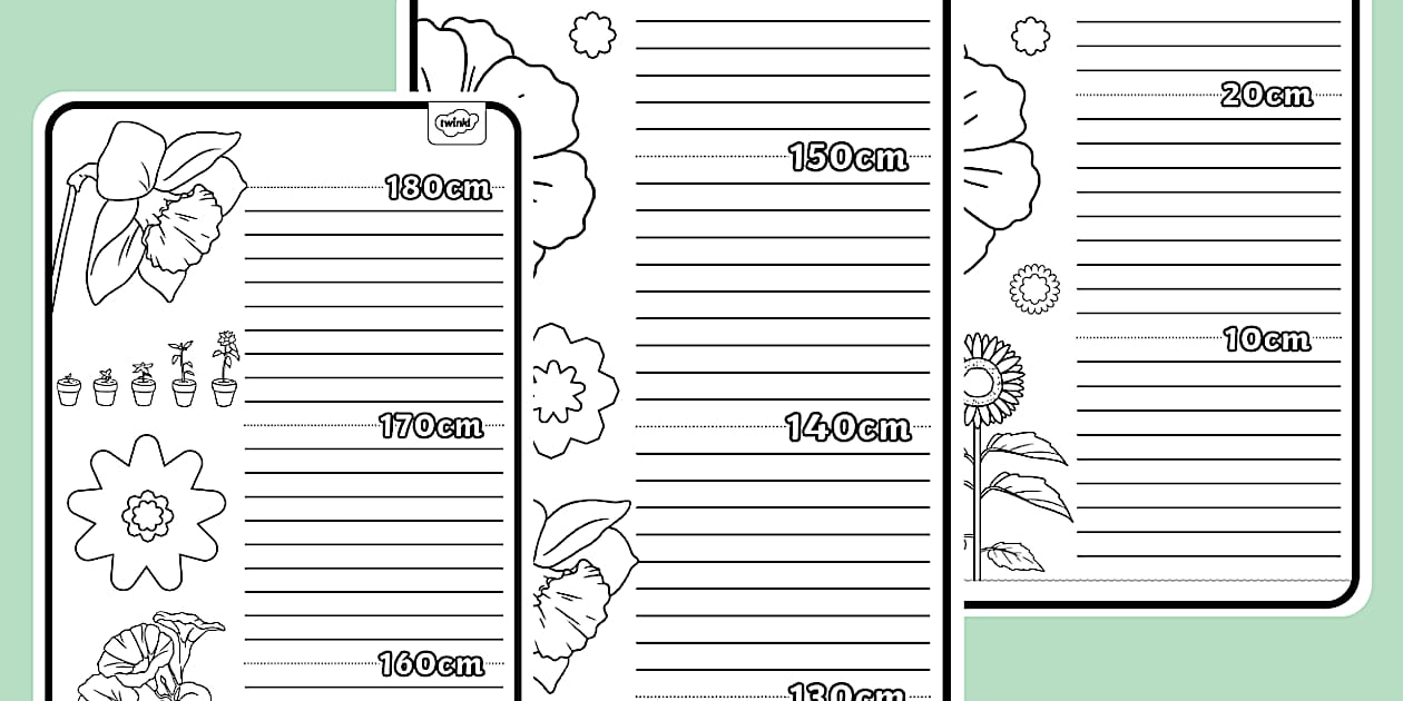 Flower-Themed Colouring Height Chart - Twinkl - KS1 - Twinkl