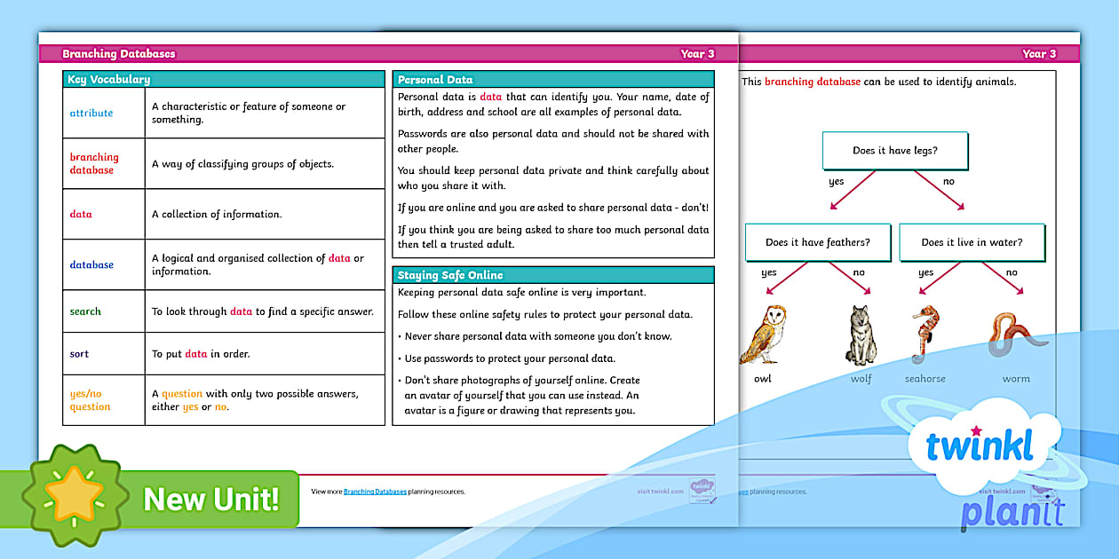 Computing: Branching Databases: Year 3 Knowledge Organiser