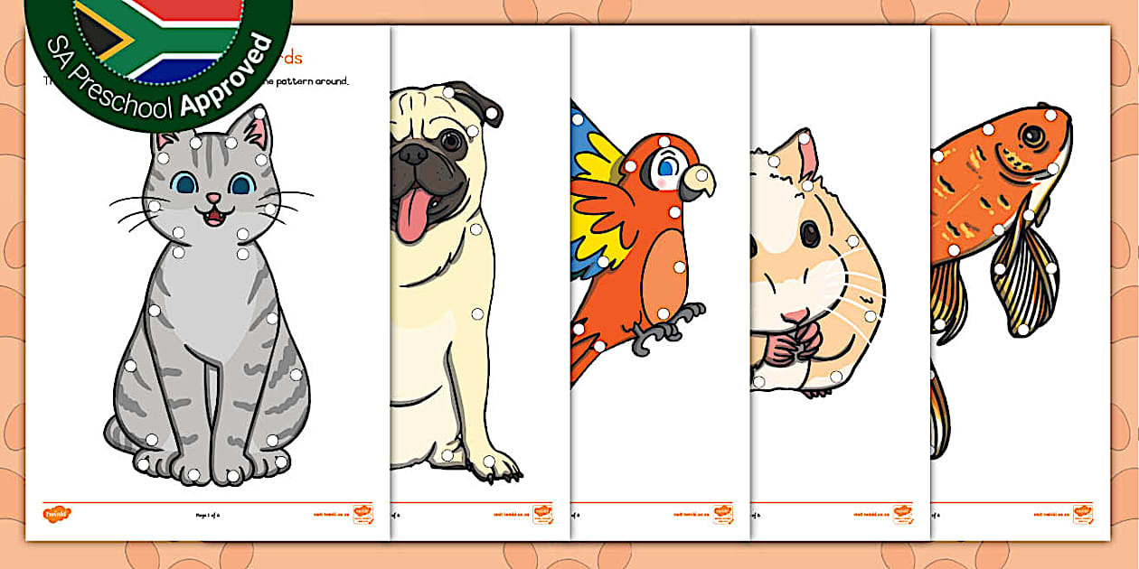 Pets: Threading Cards (teacher made) - Twinkl