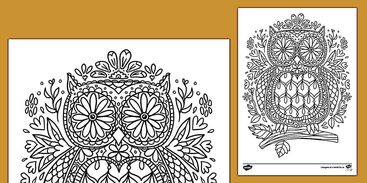 Aprólékos Bagoly Színező - Nyomtatható Lap - Twinkl Kreatív