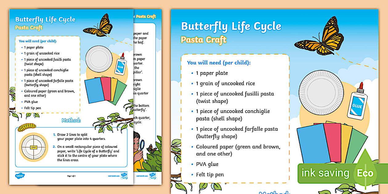 Butterfly Life Cycle Pasta Craft Activity (teacher made)