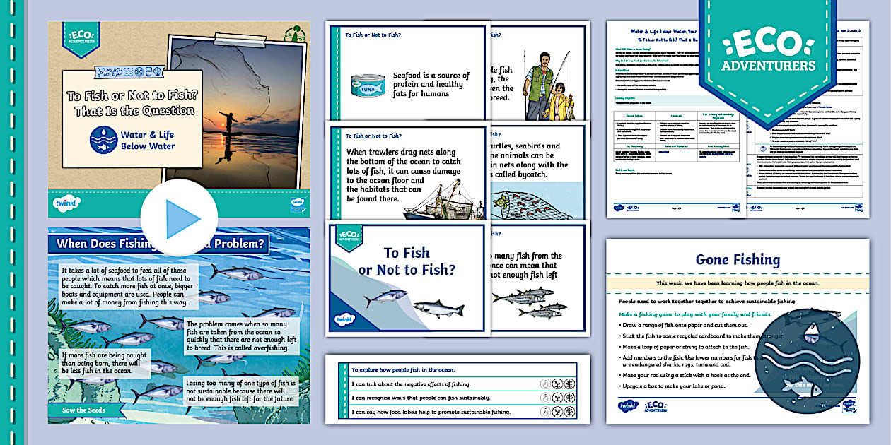 Year 3 Water & Life Below Water: Lesson 3 - To Fish or Not to Fish?