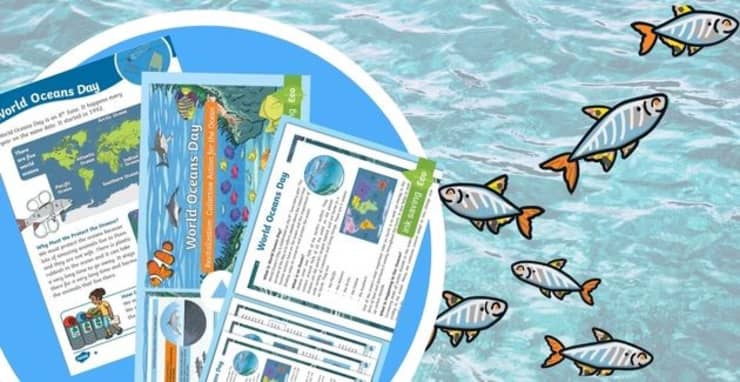 World Oceans Day | Australia Events and Celebrations