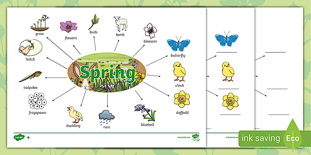 Spring Word Map - KS1 - EAL (teacher made) - Twinkl