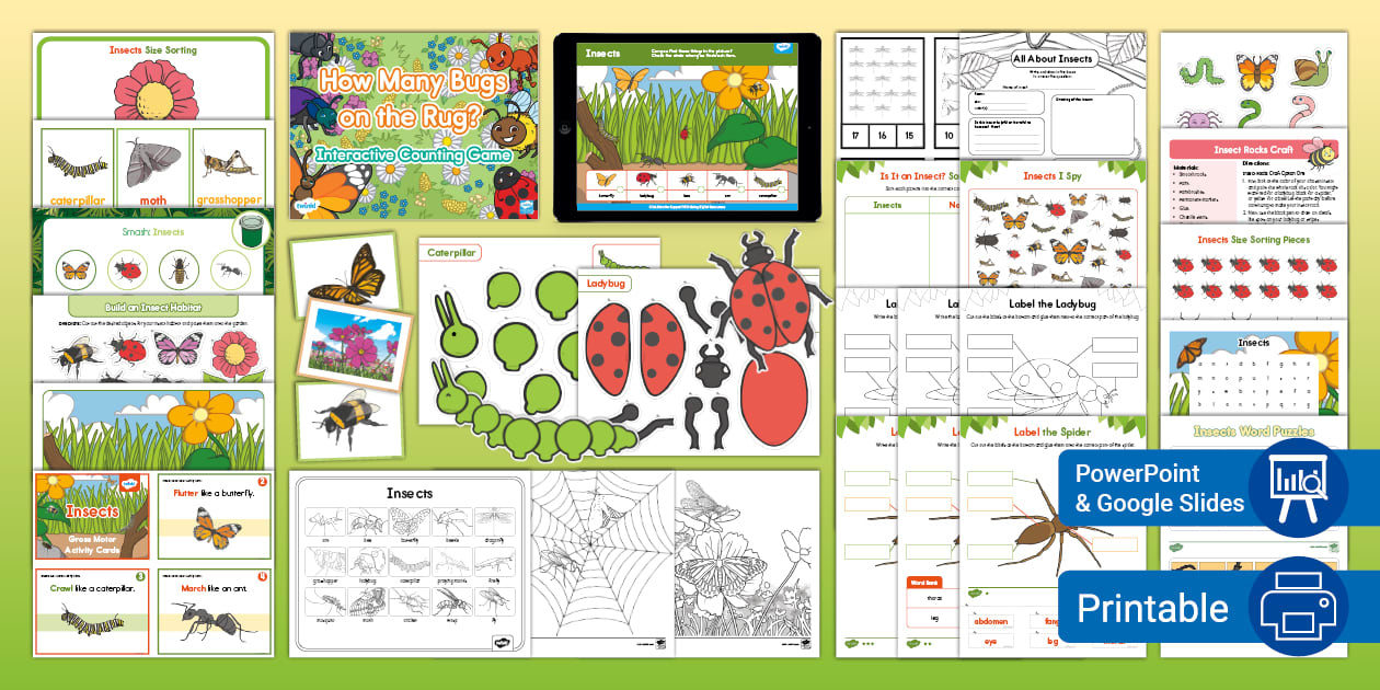 Insects Activity Pack for K-2nd Grade