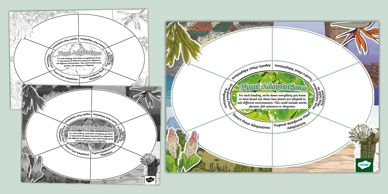 Plant Adaptations Around the Table (teacher made) - Twinkl