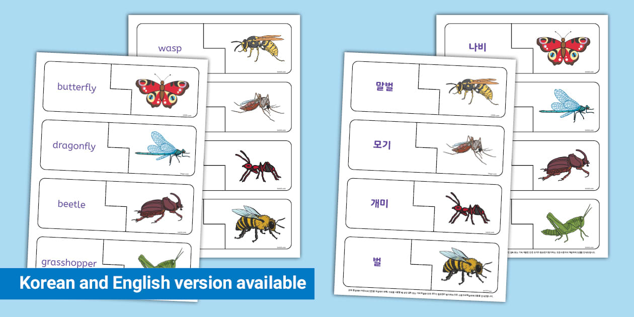 여름 곤충 매칭 퍼즐 | Summer Insects Matching Puzzle,