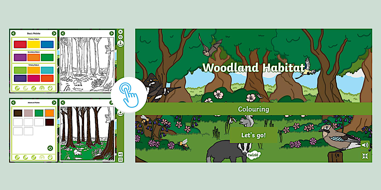 Woodland Habitat Interactive Colouring (teacher made)