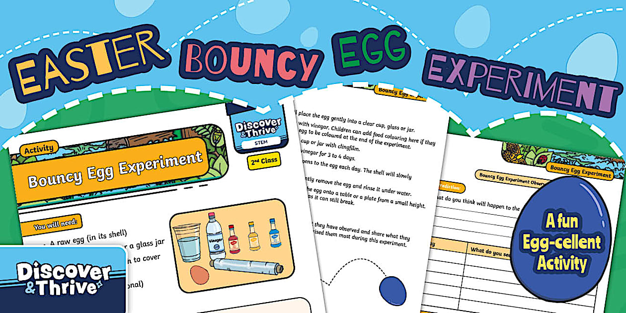 STEM Bouncy Egg Experiment 2nd Class