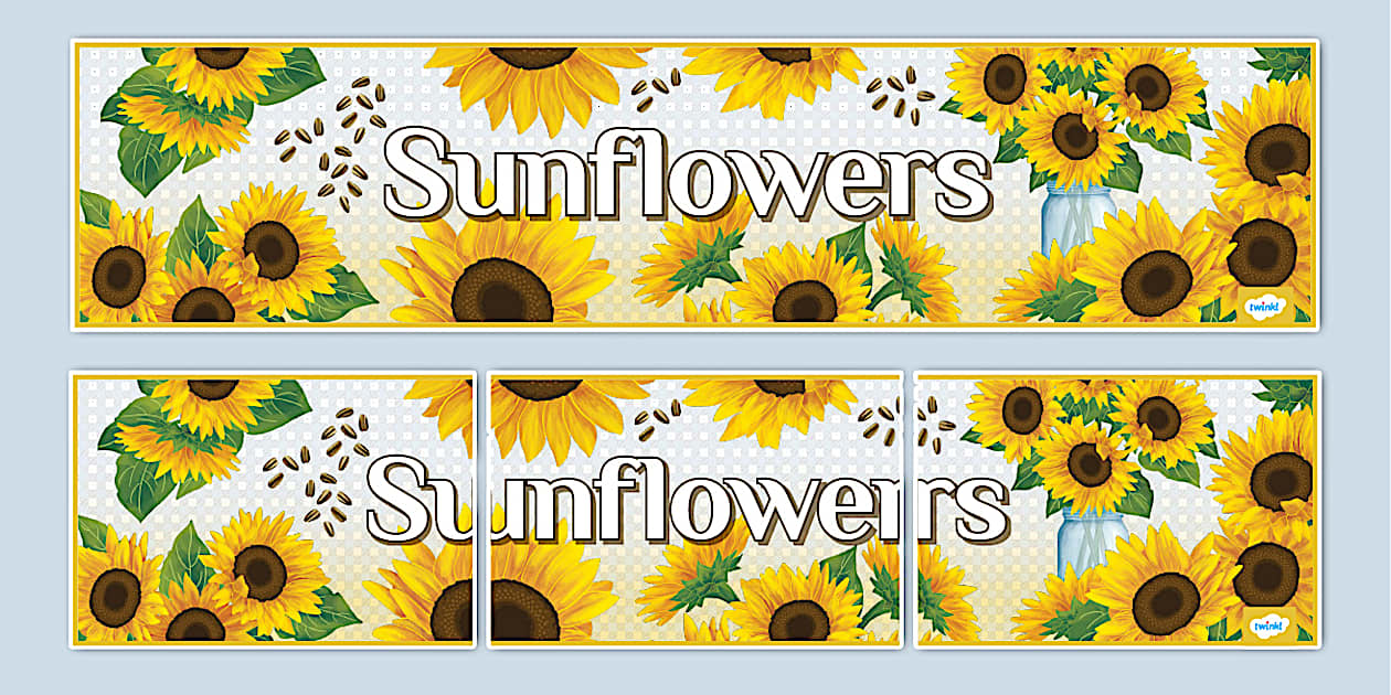Sunflower-Themed Sunflowers Display Banner (teacher made)