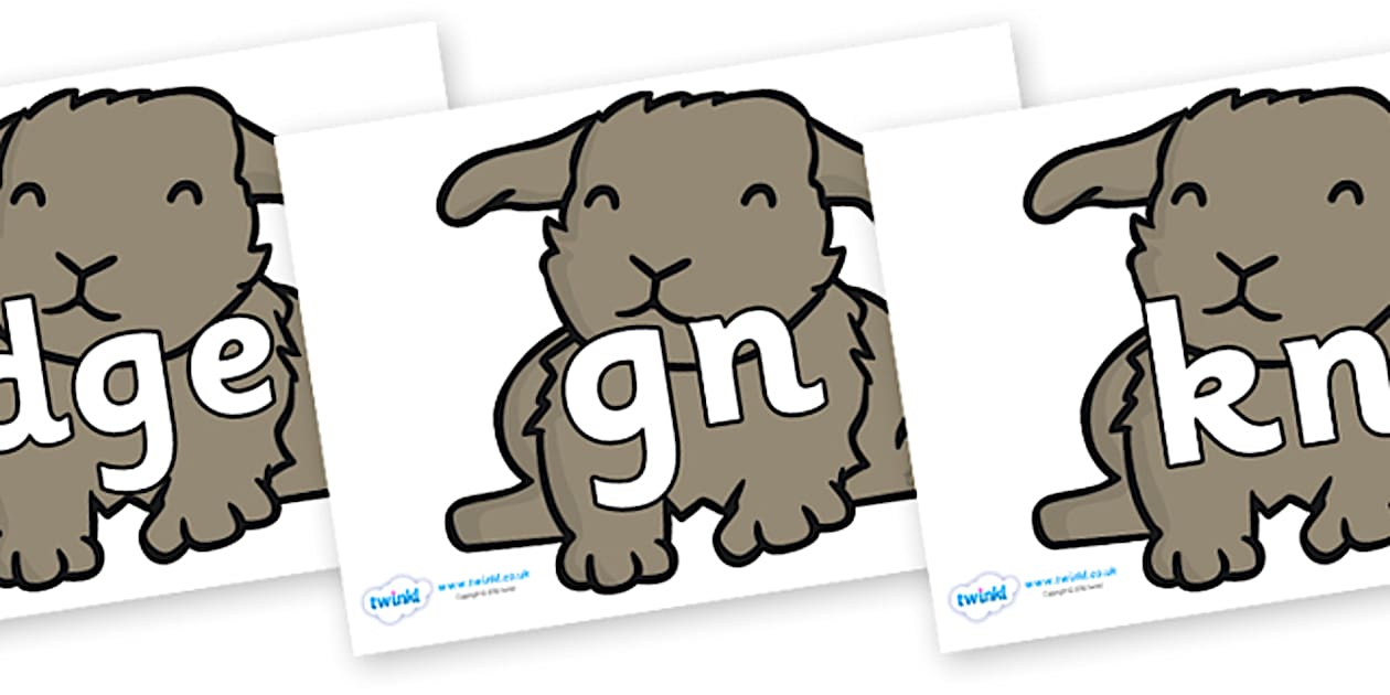 Silent Letters on Rabbits (teacher made) - Twinkl