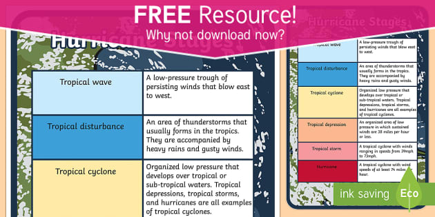 FREE Hurricane Stages Poster (teacher made)
