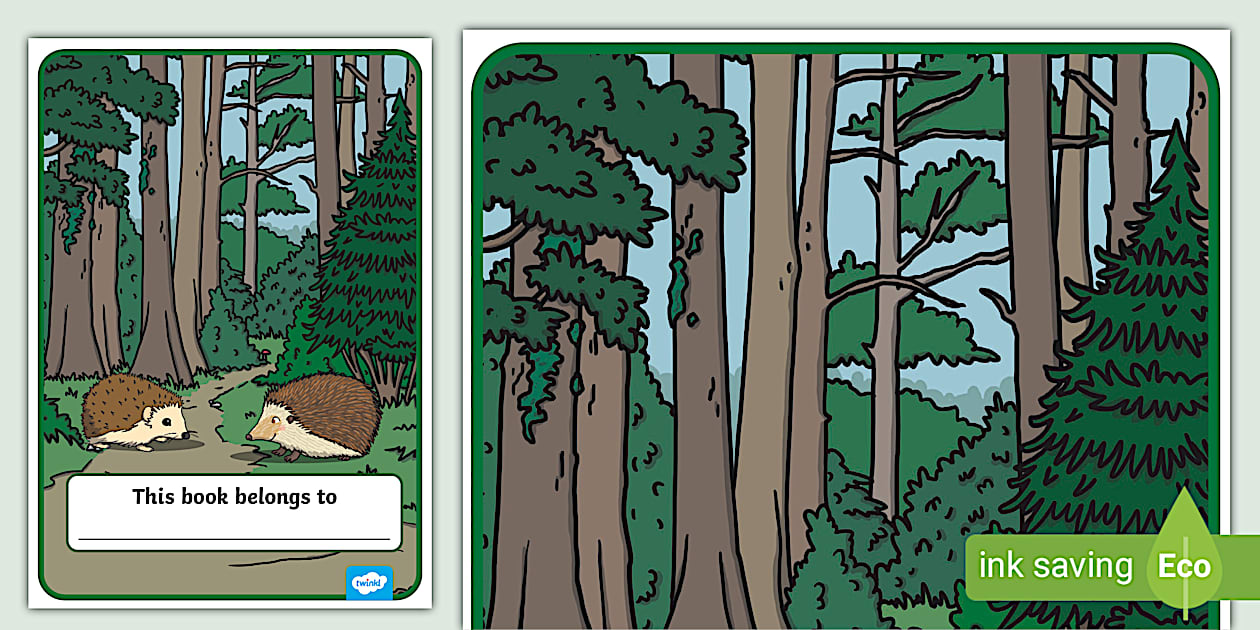 Hedgehog-Themed Book Cover | Twinkl | Book Covers | KS1