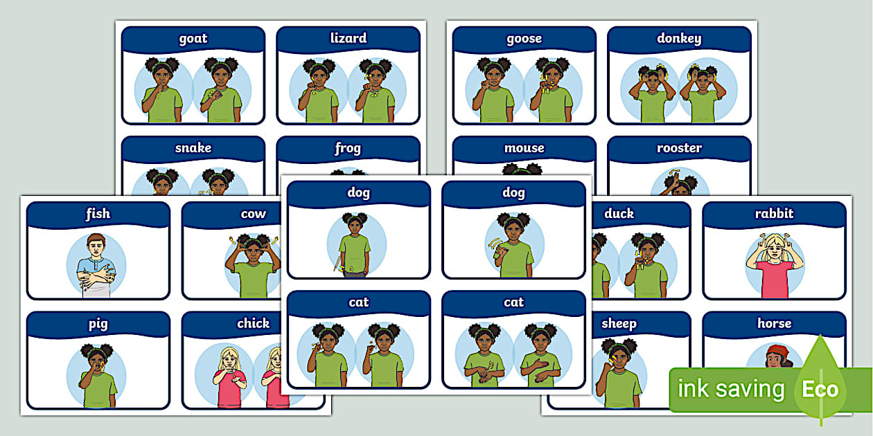 Auslan Pet and Farm Animals Word Cards (teacher made)
