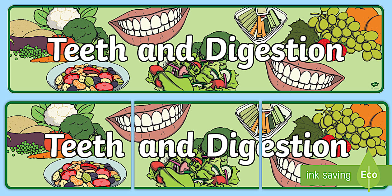 Teeth and Digestion Display Banner - demon dentist - Twinkl