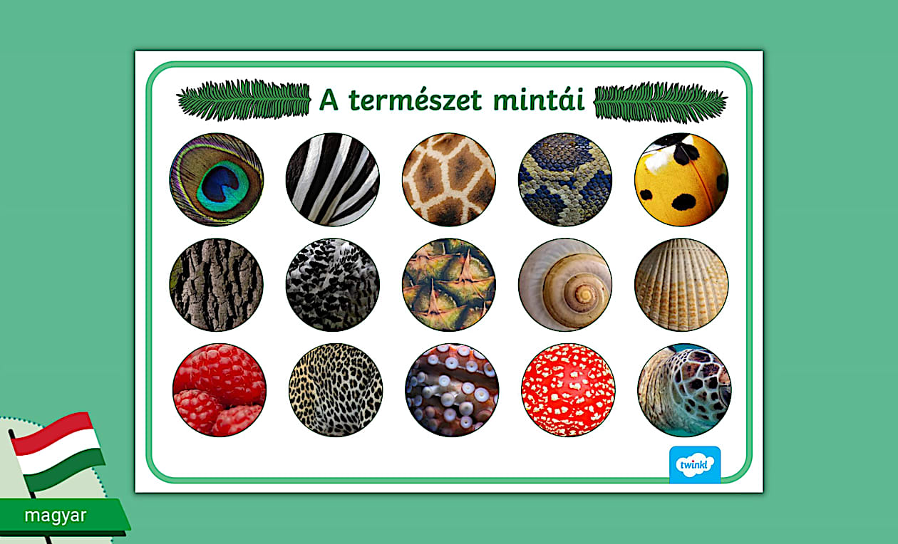 Természet Mintái Poszter Gyerekeknek - Twinkl Magyarország