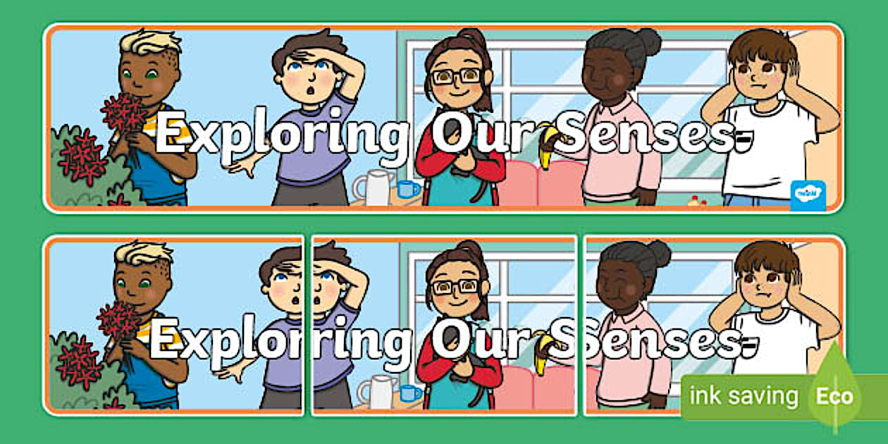 Exploring Our Senses Display Banner (teacher made) - Twinkl