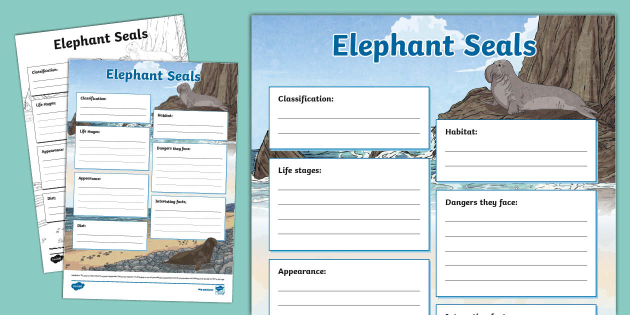 Elephant Seal Fact File Template (teacher made) - Twinkl
