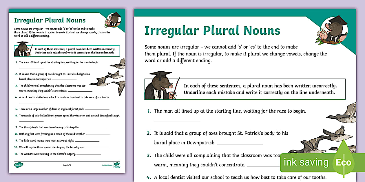 Irregular Plural Nouns Activity Sheets (teacher made)