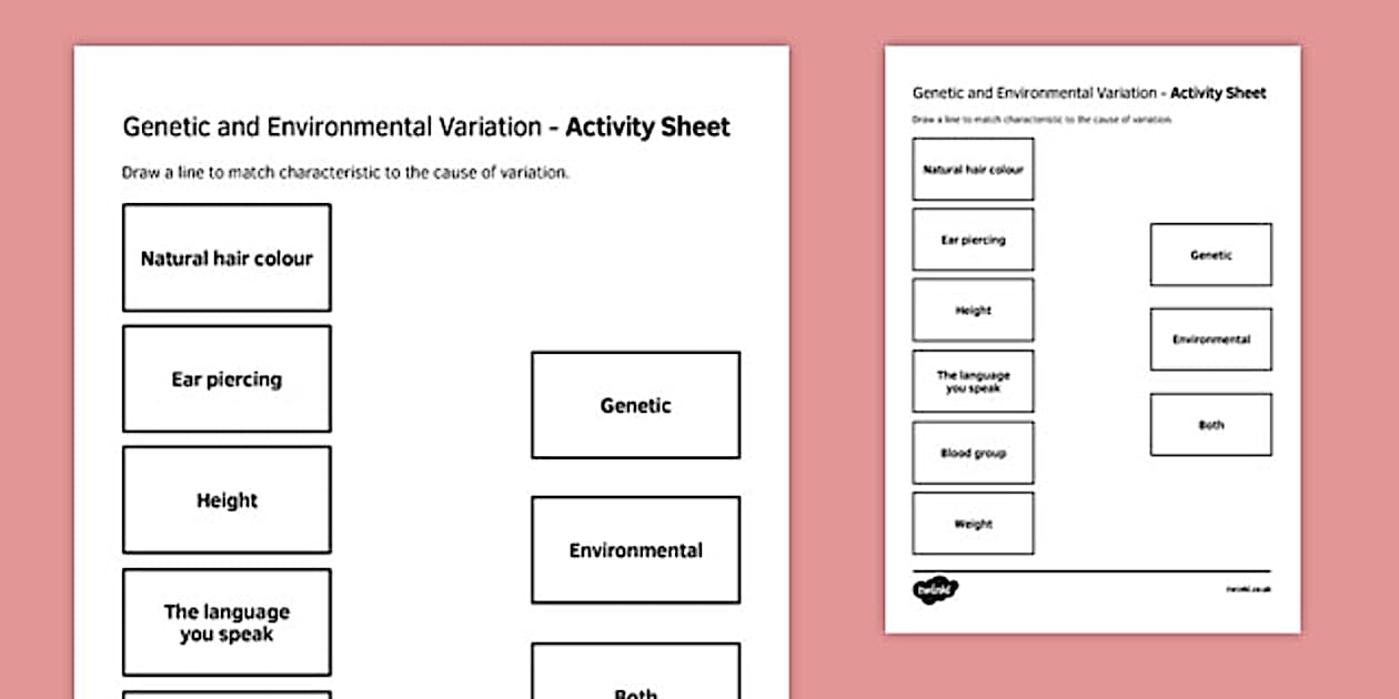 Genetic and Environmental Variation Match and Draw - Twinkl