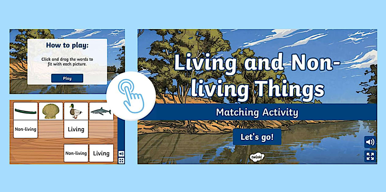Living and Non-living Things Matching Interactive Game