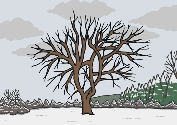 What is a Season? | Twinkl Teaching Wiki - Twinkl