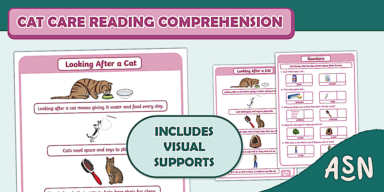 Looking After Cat Reading Comprehension with Visual Supports