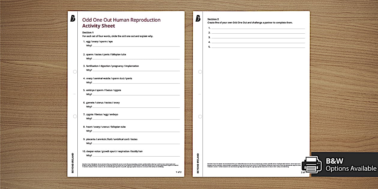 Odd One Out Human Reproduction Activity Sheet