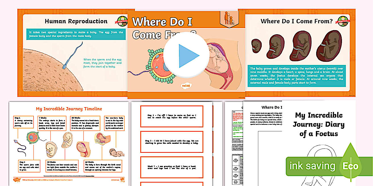 PSHE: LKS2 Growing Up - Lesson Pack 6 - Twinkl