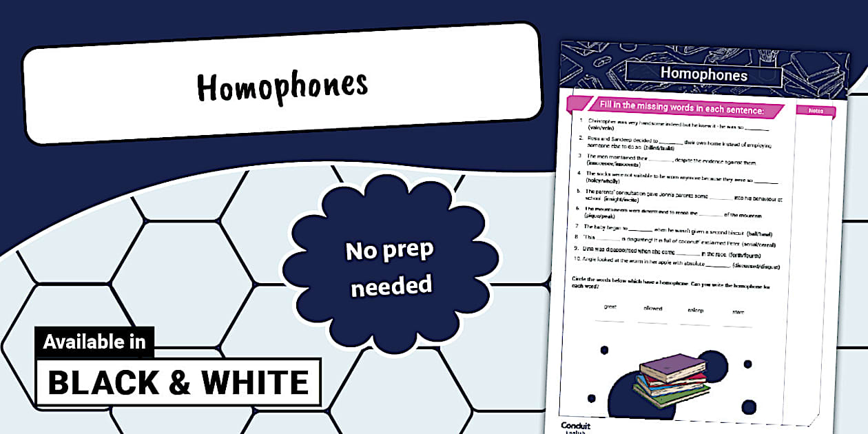 Literacy Lessons: Homophones